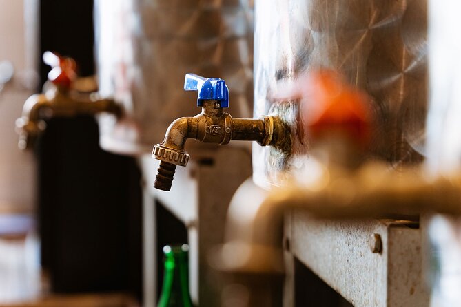 Devour Florence Food Tour With Santambrogio Market Visit - Savoring Italian Wines: A Guide to 5 Exceptional Pairings