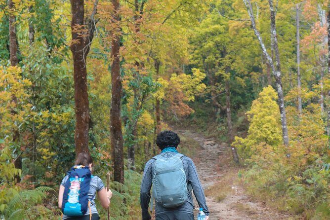 Dhampus Day Hiking Tour from Pokhara - Key Points