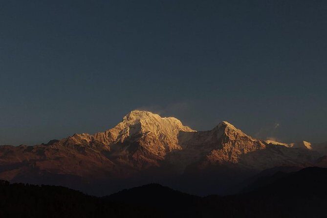 Dhampus Day Hiking Tour from Pokhara - The Experience: What Travelers Love and What to Consider