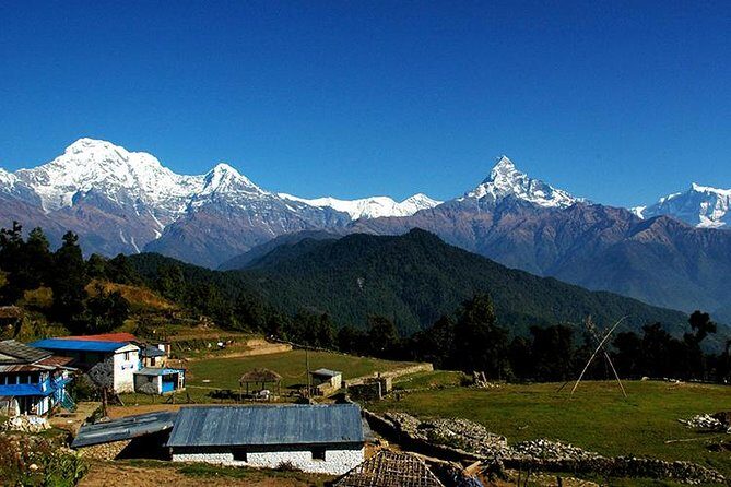 Dhampus trek - An In-Depth Look at the Dhampus Trek