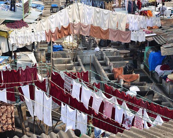 Dharavi Slum Tour in Public Transportation - Key Points