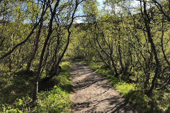 Diamond Circle Day Tour From Akureyri - Booking Information