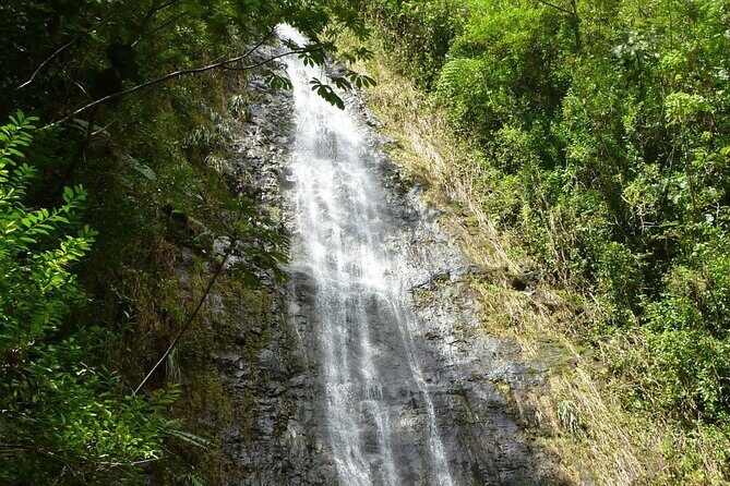 Diamond Head and Manoa Falls Hike and Adventure Tour - Exploring the Itinerary in Detail