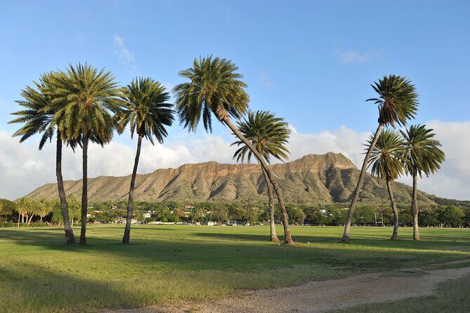 Diamond Head Hiking Experience with Roundtrip Transportation - Authentic Experiences and Real Traveler Feedback