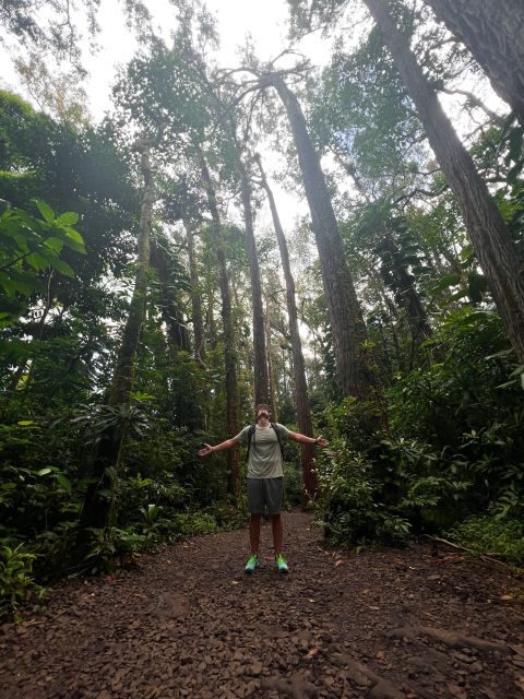 Diamond Head Manoa Falls - Exploring the Best of Oahu: Diamond Head and Manoa Falls Tour