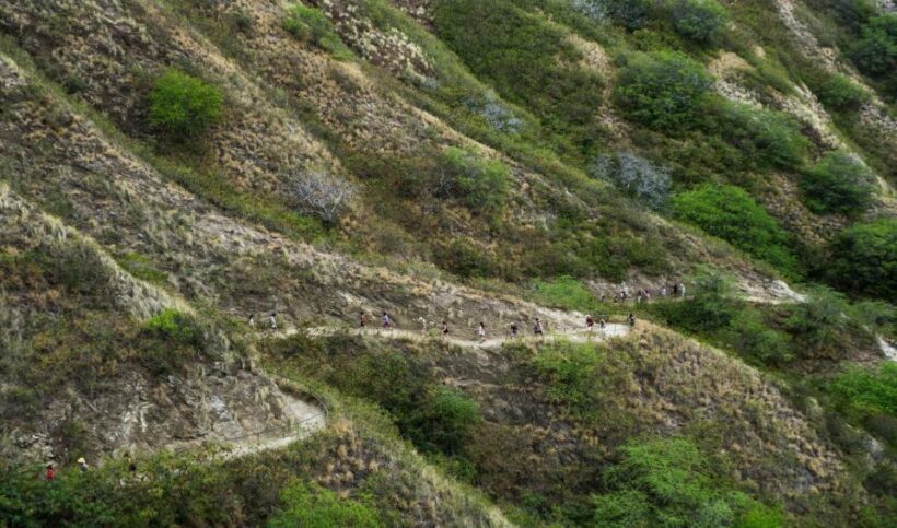 Diamond Head Manoa Falls - The Practical Details: What to Know