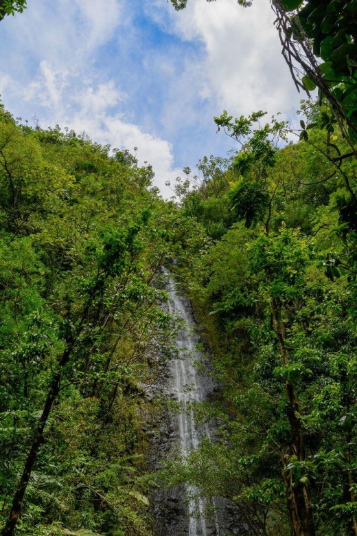 Diamond Head Manoa Falls - Who Will Love This Tour?