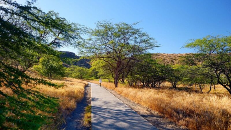 Diamond Head Manoa Falls - The Sum Up: Is This the Right Tour for You?