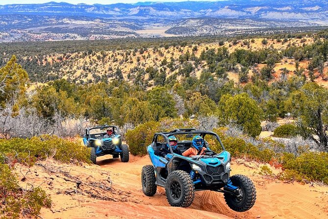 Dianas Throne UTV Adventure Near Zion National Park - Driving Lessons and Safety Precautions