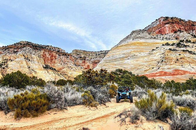 Dianas Throne UTV Adventure Near Zion National Park - Navigating the Backcountry Trails