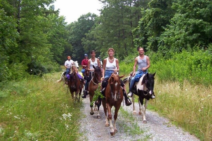 Didim Horse Safari - The Ride and the Surroundings