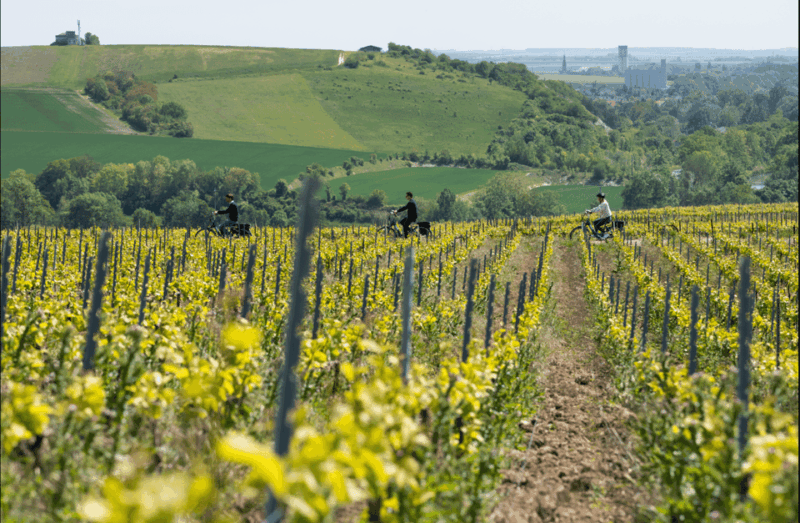 Dijon/Beaune: Full day Ebike Burgundy tour, tastings & lunch - What Sets This Tour Apart?