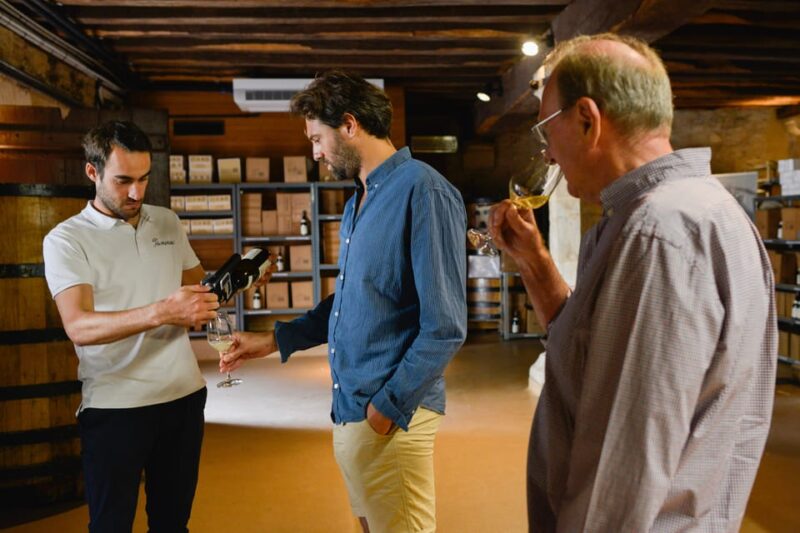 Dijon/Beaune: Full day Ebike Burgundy tour, tastings & lunch - Who Is This Tour Best For?