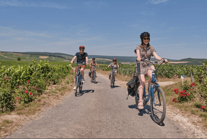 Dijon/Beaune: Full day Ebike Burgundy tour, tastings & lunch - Final Thoughts