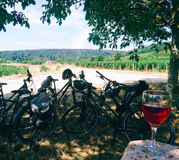 Dijon: Bike tour and Tastings in the Vineyards of Burgundy - What to Expect from the Burgundy Bike and Tasting Tour