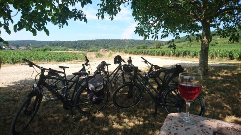 Dijon: Half-Day Guided Gourmet Bike Tour - An Overview of the Tour Experience