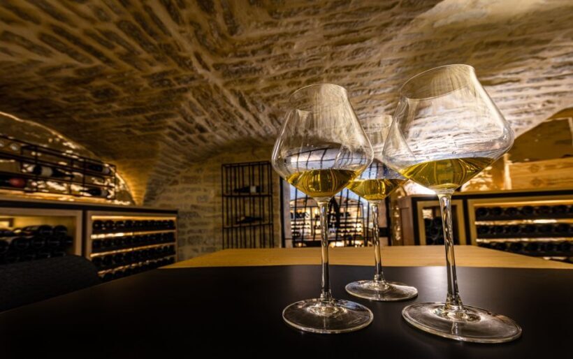 Dijon: La Cave du Palais Burgundy Wine Tasting Experience - Key Points