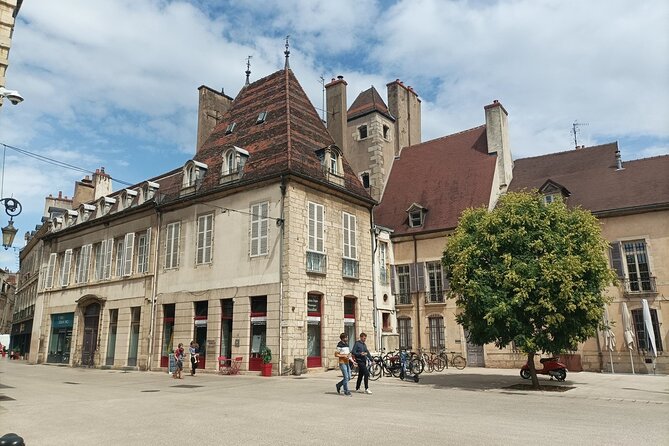 Dijon private guided tour with a professional tour guide ! - Analyzing the Price and Value