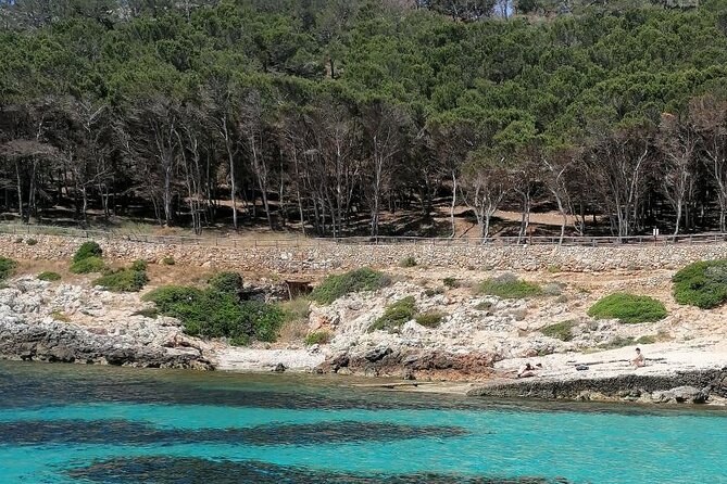 Dinghy Excursion to the Egadi Islands With Tasting on Board - Onboard Tasting Experience