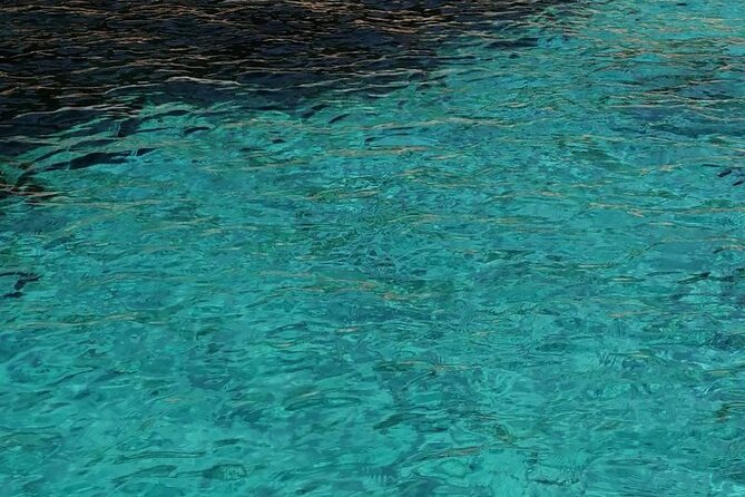 Dinghy Excursion to the Egadi Islands With Tasting on Board - Amenities and Comforts