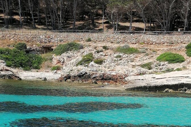 Dinghy Excursion to the Egadi Islands With Tasting on Board - Meeting and Departure Details