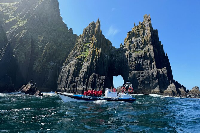 Dingle Boat Tours RIB Adventure Private - A Deep Dive into the Dingle Boat Tours RIB Adventure: An Authentic Coastal Experience