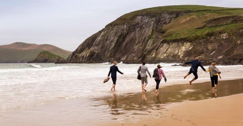 Dingle Day Tour from Limerick - Key Points