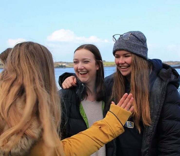 Dingle Day Tour from Limerick - Who Should Consider This Tour?