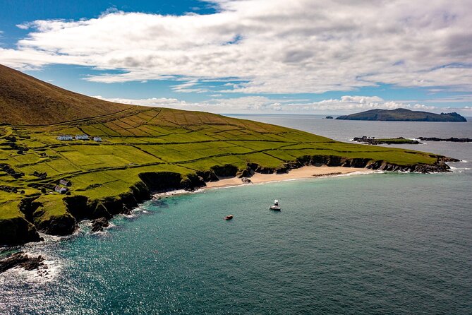 Dingle Dolphin Blasket Adventures - A Scenic Adventure Along Ireland’s Wild Atlantic Way