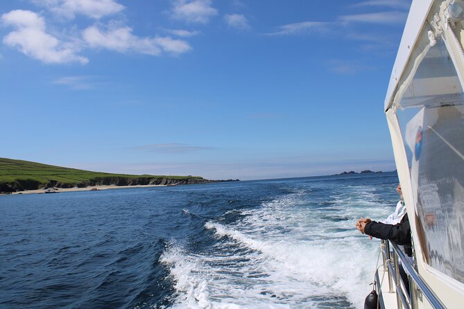 Dingle Dolphin Blasket Adventures - Wildlife and Natural Encounters