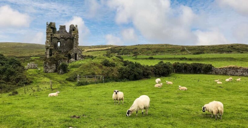 Dingle: Heritage Photo And Sightseeing Tour - The Itinerary: What You Can Expect