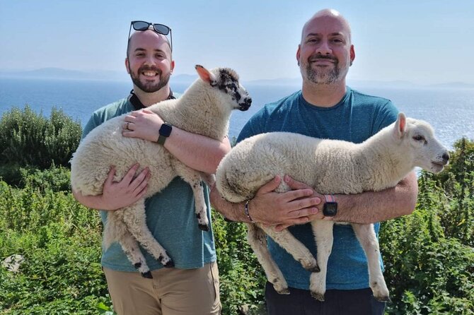 Dingle: Hour Slea Head Drive Tour 4hr - Personal Chauffeur Guide - Tour Duration and Itinerary