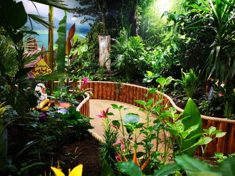 Dingle: Oceanworld Aquarium Admission Ticket - The Practical Side: Cost, Accessibility, and Tips