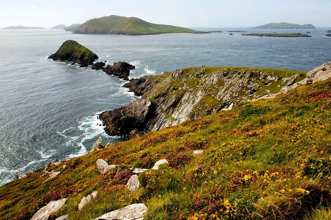Dingle Peninsula Day Tour From Cork: Including the Wild Altanic Way - Accessibility and Requirements