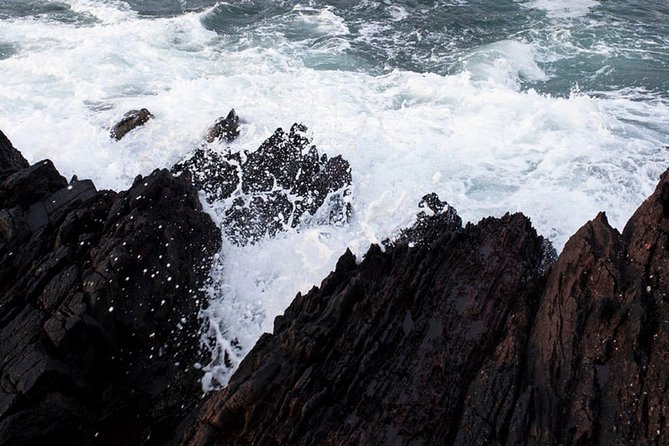 Dingle Peninsula Day Tour from Killarney: Including The Wild Altanic Way - Who Will Enjoy This Tour?