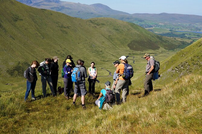 Dingle Peninsula Guided Walking Tour - Reviews Speak for Themselves