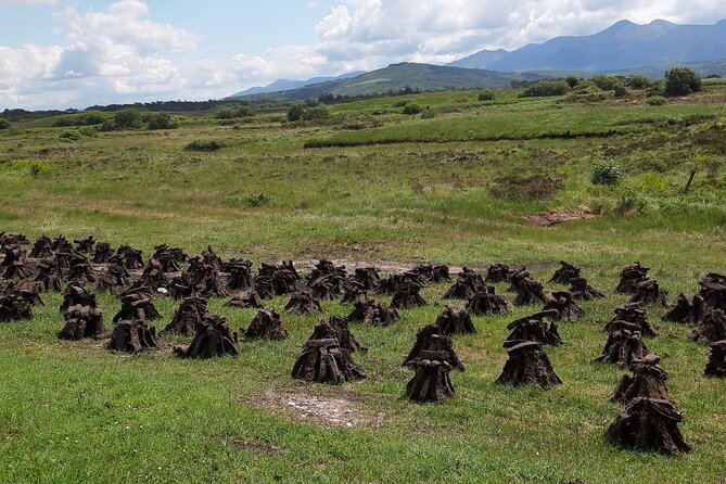 Dingle Peninsula Private Luxury Tour - The Sum Up