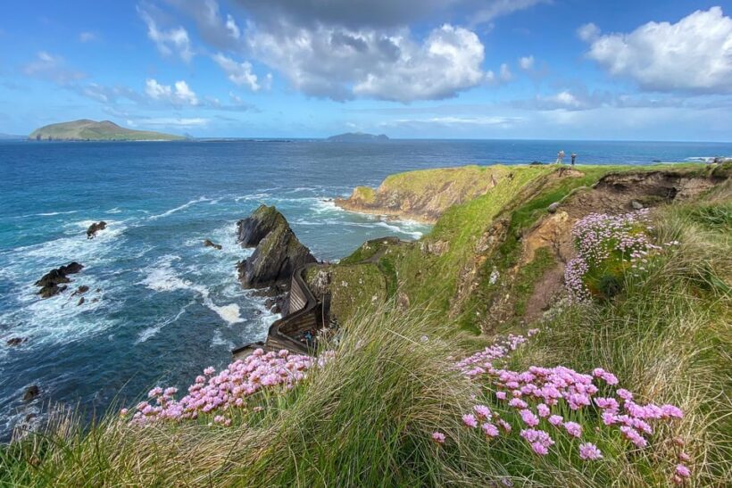 Dingle: Slea Head Photo And Sightseeing Tour - The Sum Up: Who Should Book This Tour?