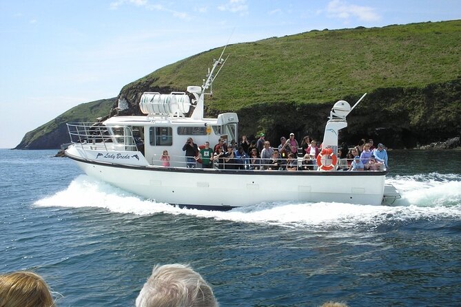 Dingle to Blasket Island Ferry - Schedule and Capacity