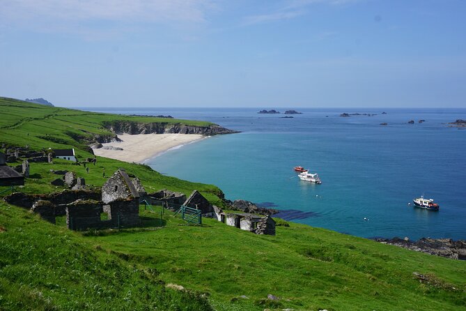 Dingle to Blasket Island Ferry - Customer Feedback and Ratings