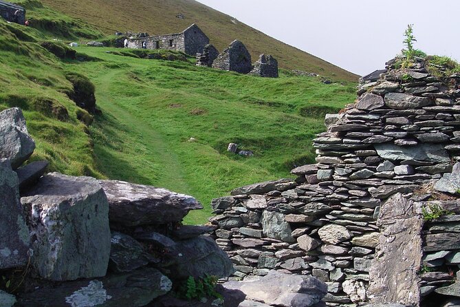 Dingle to Blasket Island Ferry - Wildlife Sightings and Historical Insights