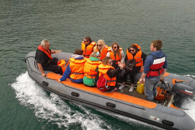 Dingle to Blasket Island Ferry - Hosts Appreciation and Welcoming Guests