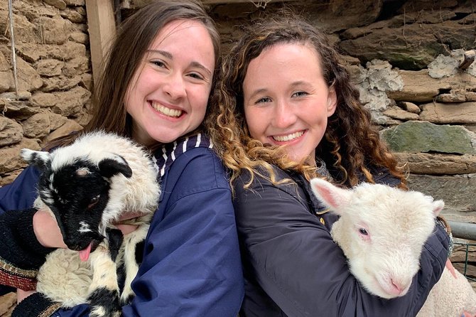 Dingle Town & Peninsula Private Chauffeur Driven Day Tour From Killarney Luxury - Since You Asked