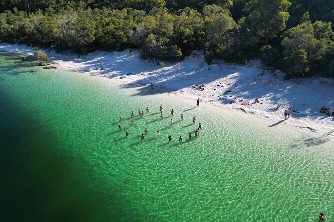 Dingos 2 Day K'Gari (Fraser Island) 4WD Tag-Along Tour - Key Points