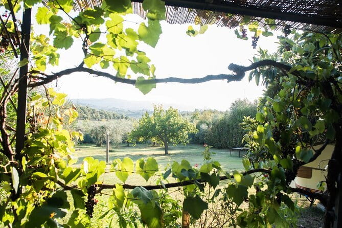 Dining Experience in a 13th-Century Monastery in Florence - The Sum Up: Why This Experience Matters