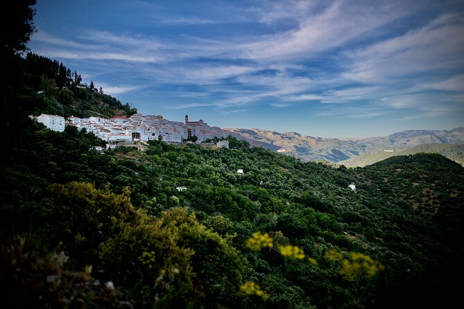 Dining Experience in the Mountains & discovering of Andalusia - The Sum Up: A Genuine Taste of Andalusia