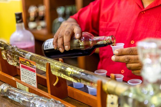 Dinner Cruise Tour in Cabo San Lucas with Tequila Tasting - Practical Tips & Considerations