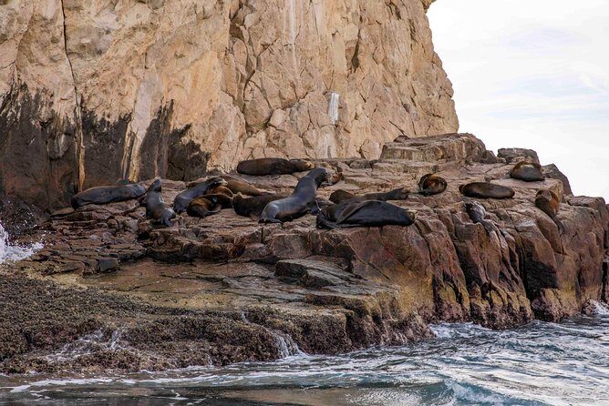 Dinner Cruise Tour in Cabo San Lucas with Tequila Tasting - Final Thoughts