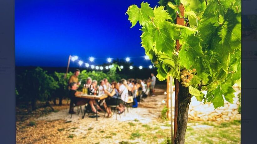 Dinner in the vineyard and wine tasting under the stars - Who Will Enjoy This Experience the Most?