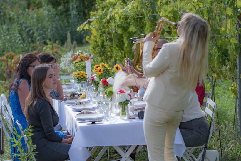 Dinner in the vineyard French Riviera - Who Will Love This Experience?